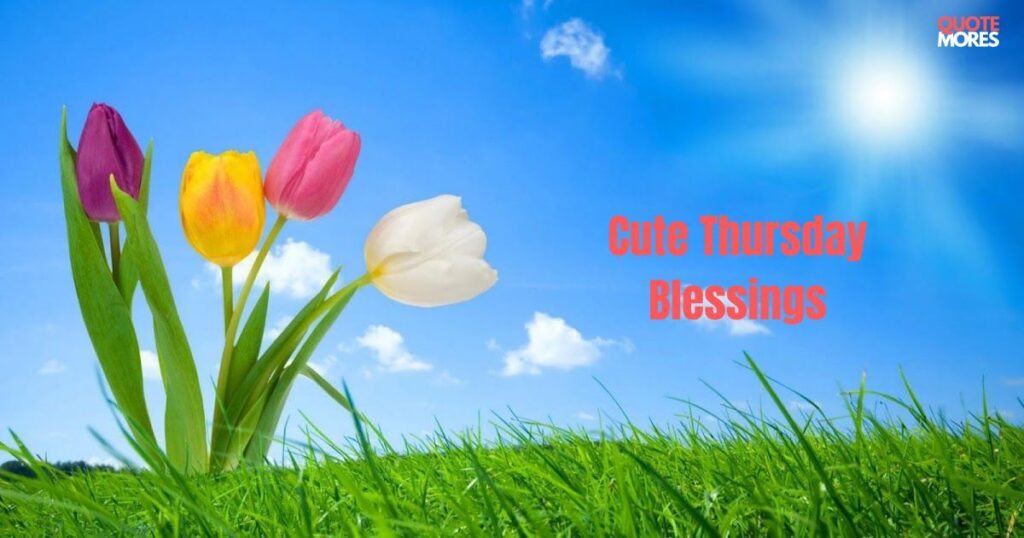 46+ Unfiltered Cute Thursday Blessings | Brighten Your Day and Spread ...