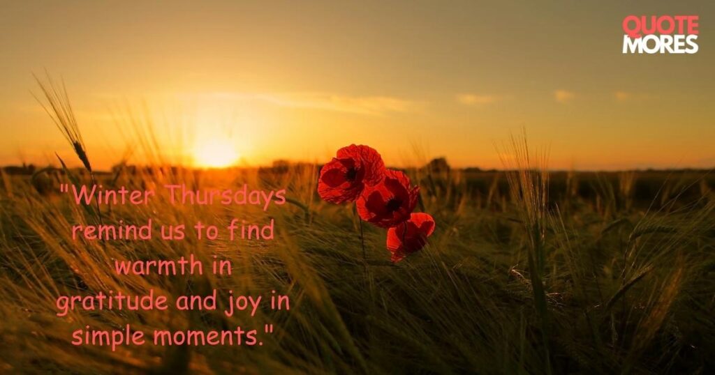 60+ Unfiltered thankful Thursday Blessings