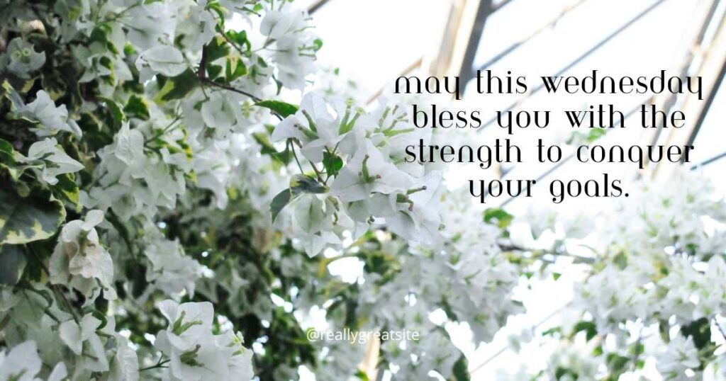 120+ Happy Wednesday Blessings For Your Super Bright Day