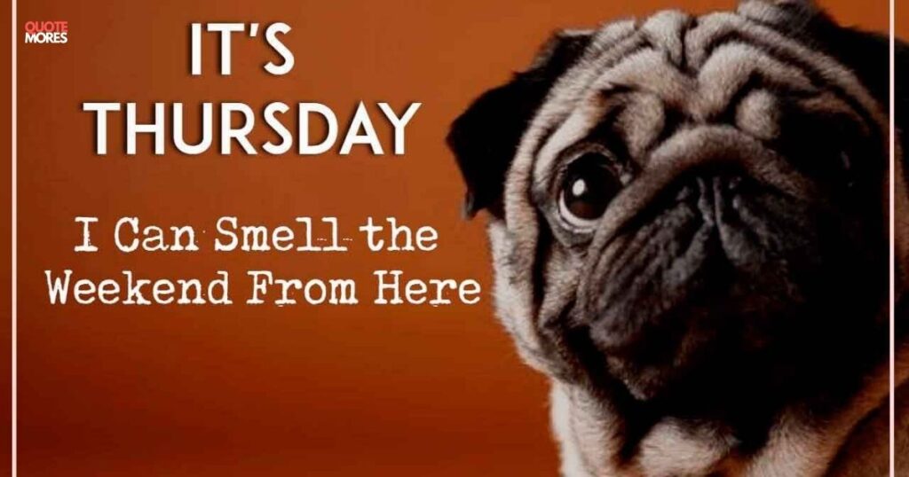 150+Funny Thursday Quotes