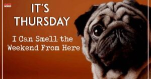 150+Funny Thursday Quotes