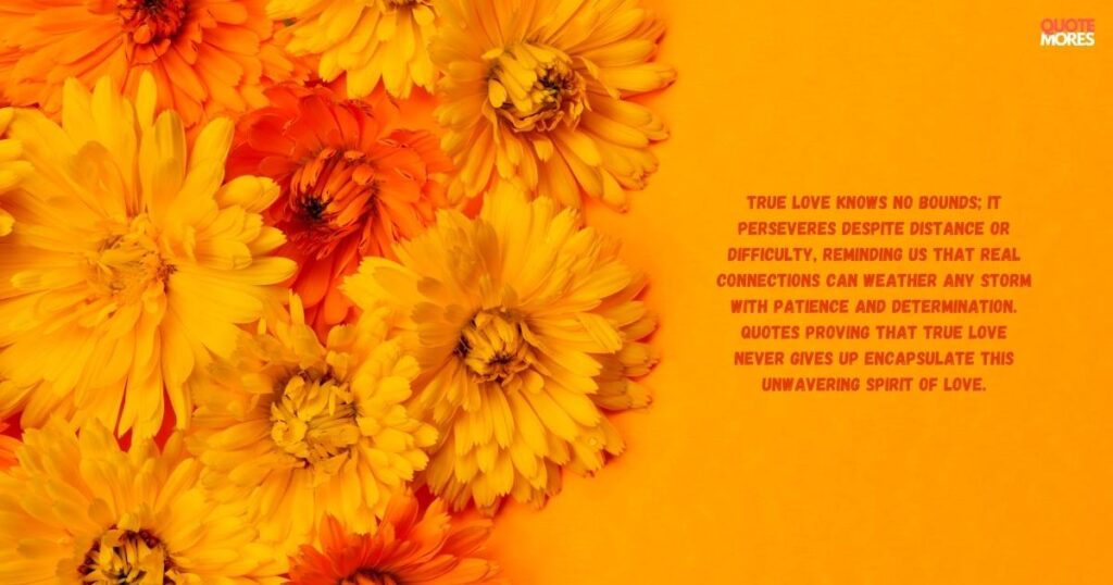 50 Quotes Proving That True Love Never Gives Up