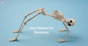 770+ Skeleton Names Creative Stylish Unique Funny Cool & Cute