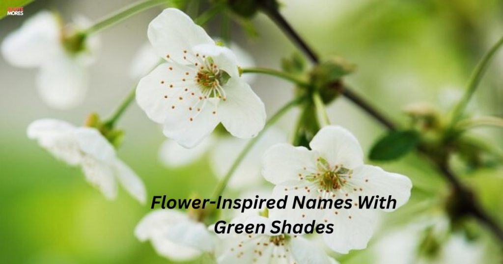 560+ Names With Green Unique Creative Funny Cool & Stylish