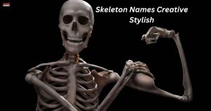 770+ Skeleton Names Creative Stylish Unique Funny Cool & Cute