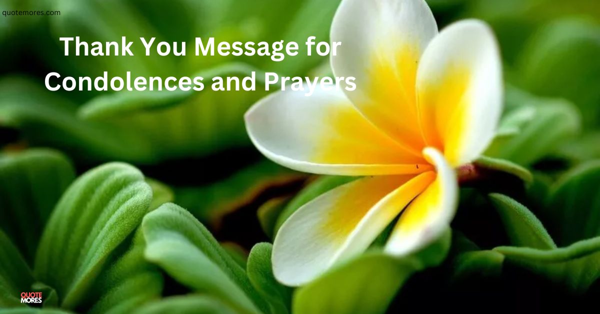 30+ Sincere Thank You Messages for Condolences